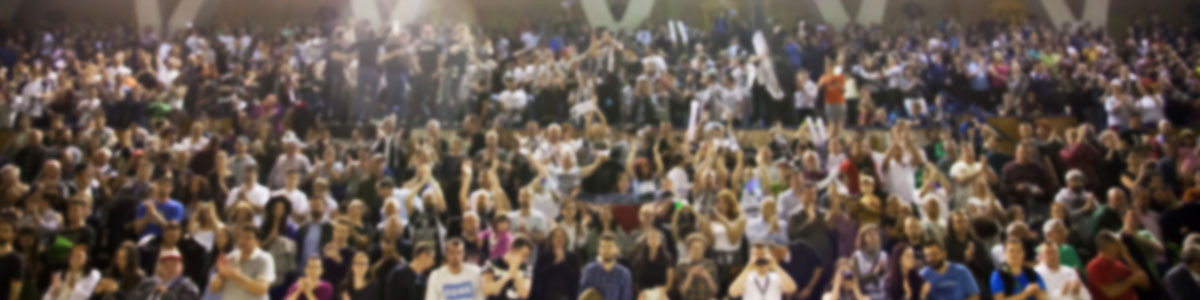 Crowd Management Services - Advanced Security Concepts